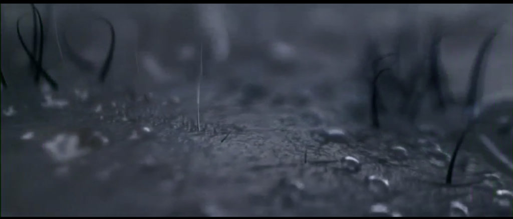 The Cine-Files » Touch, textures, and intensity ——— Analyzing Fight ...